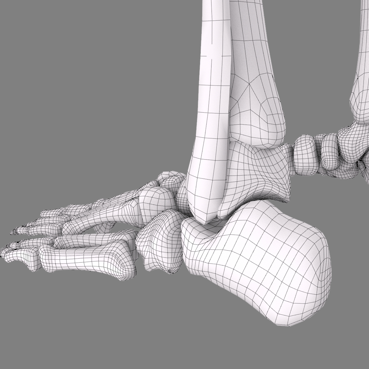 realist human skeleton skeletal skull obj