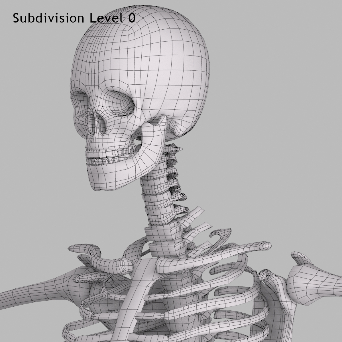 realist human skeleton skeletal skull obj