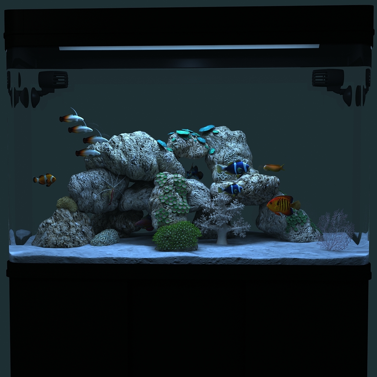 3d model marine aquarium