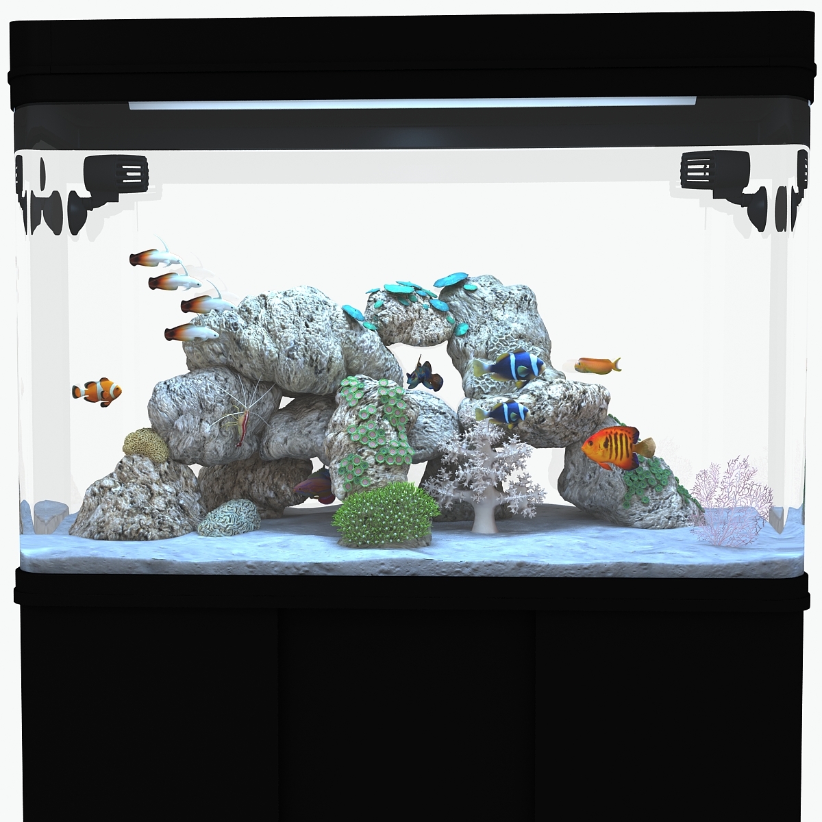 3d model marine aquarium