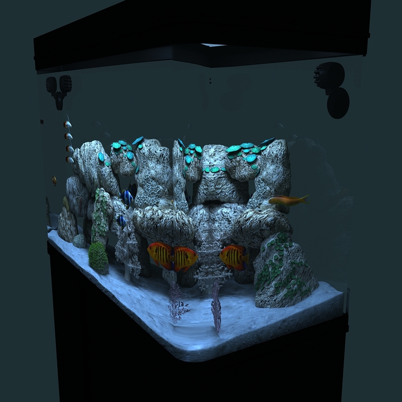 3d model marine aquarium