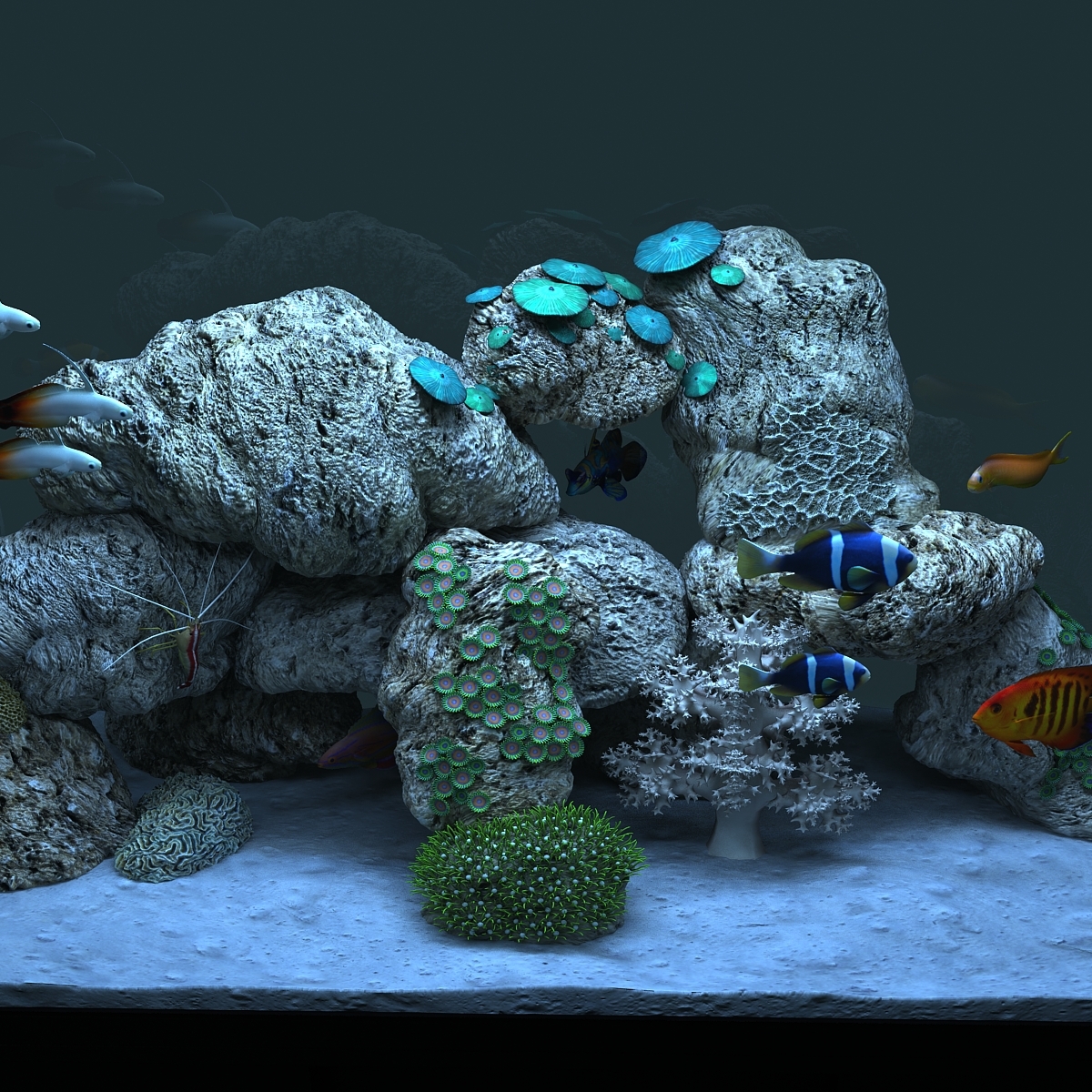 3d model marine aquarium