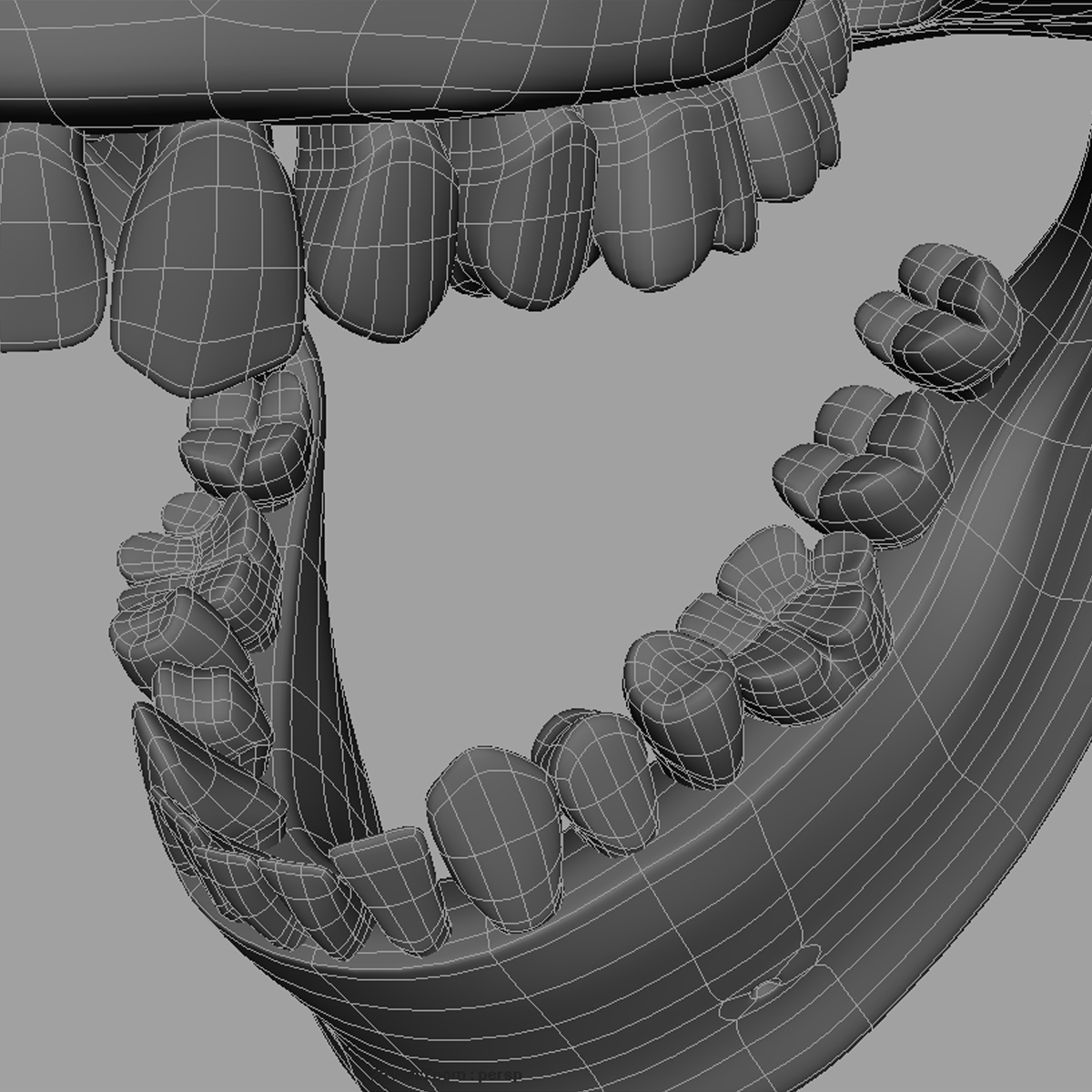 3d model human skull