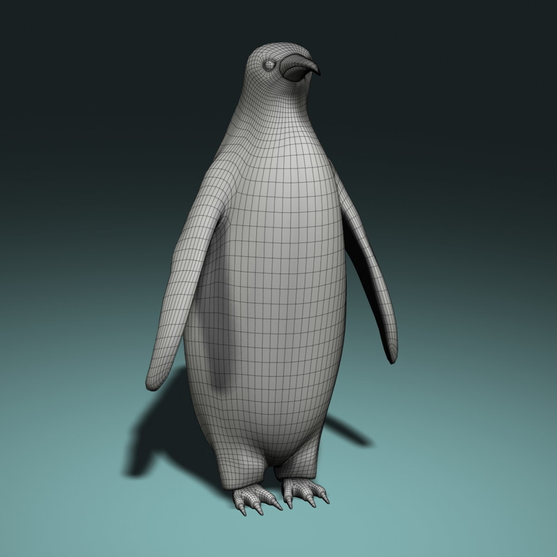 3d penguin animation model