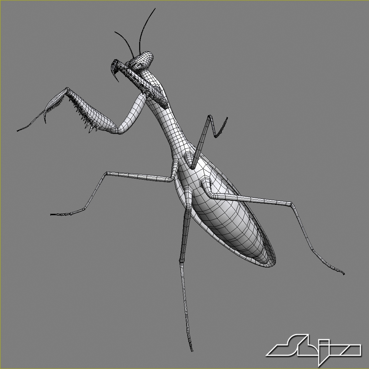 3d mantis religiosa 2