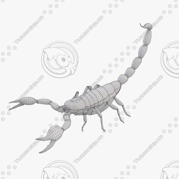 brown scorpion 3d model