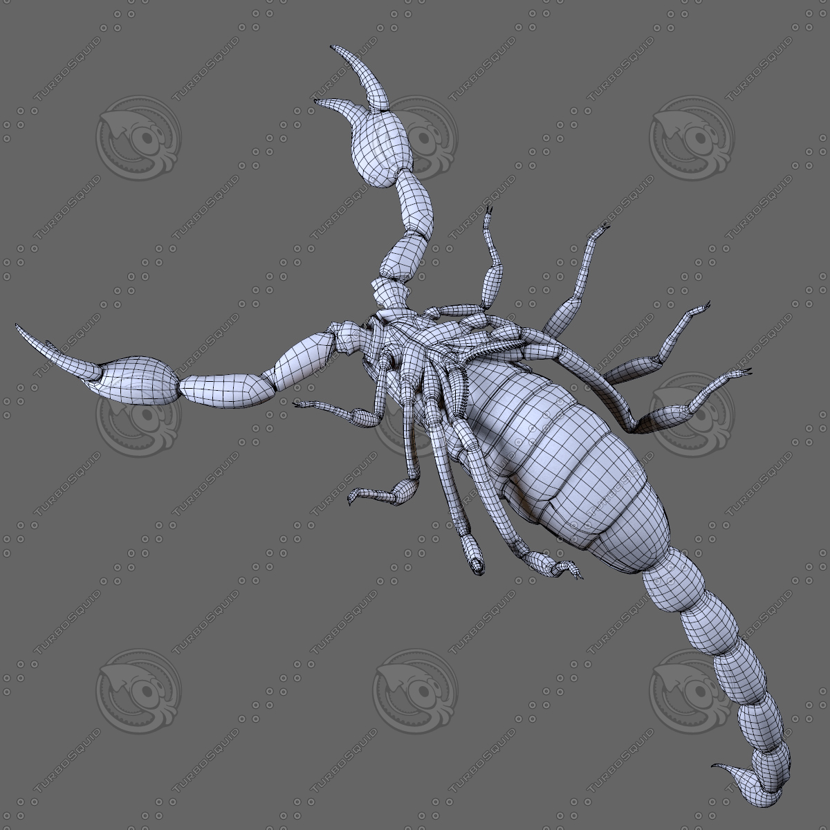 brown scorpion 3d model