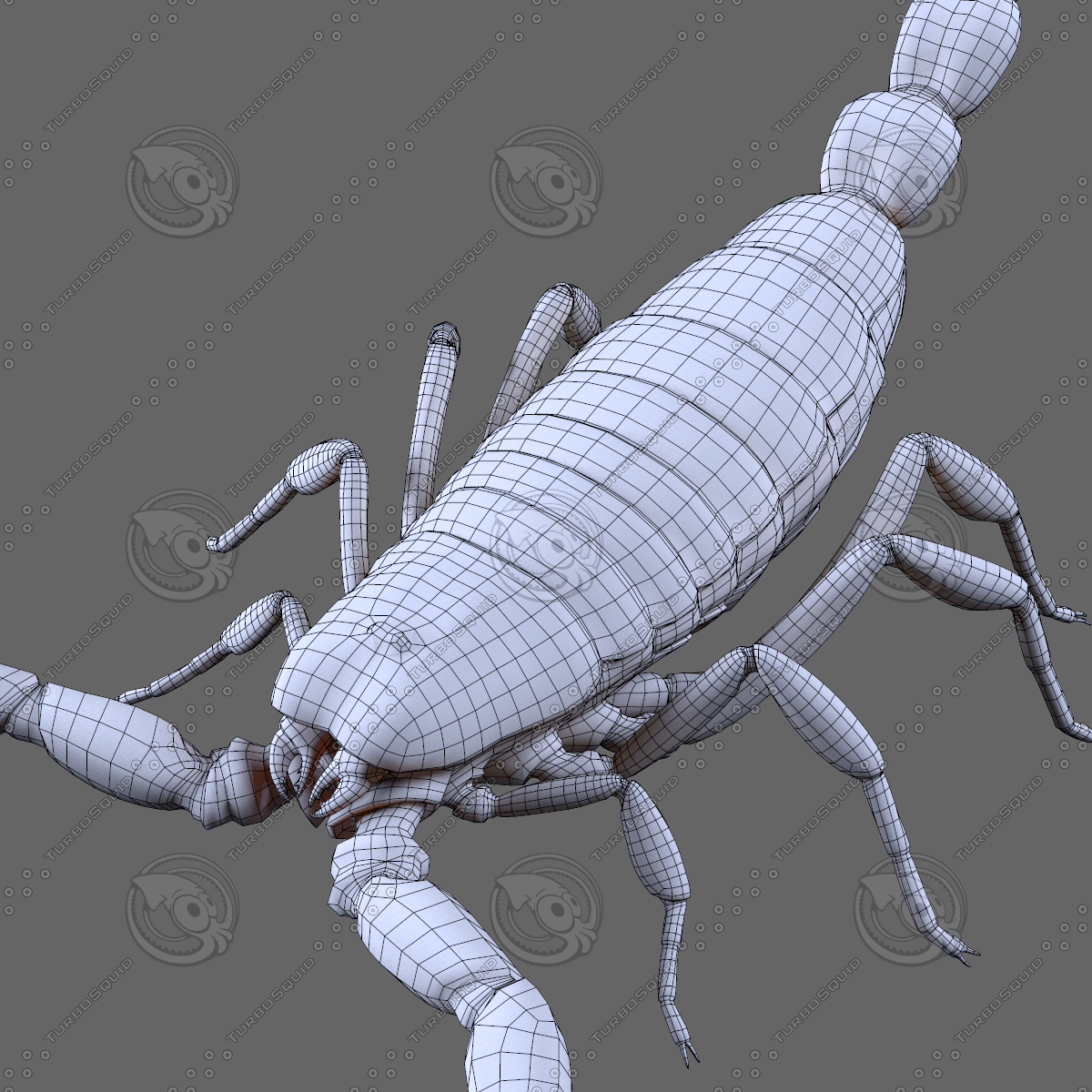 brown scorpion 3d model