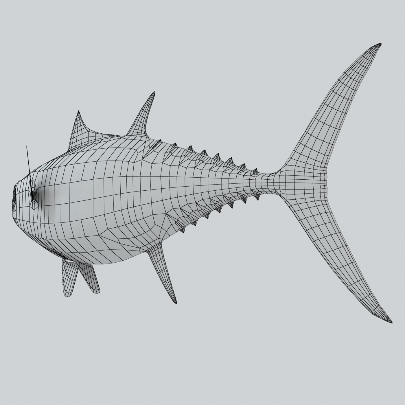 skipjack tuna 3d max