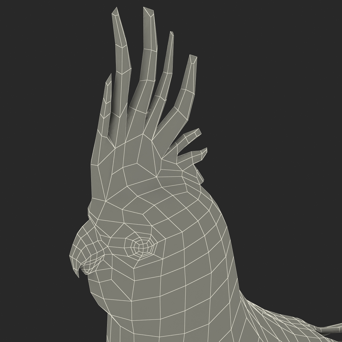 cockatiel bird parrot 3d obj