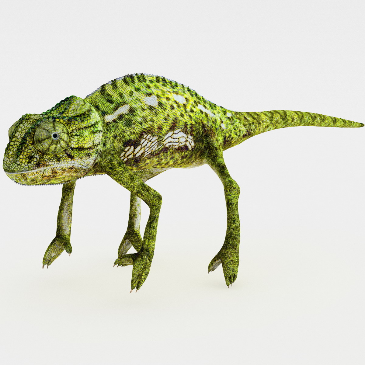 chameleon modelled 3d model