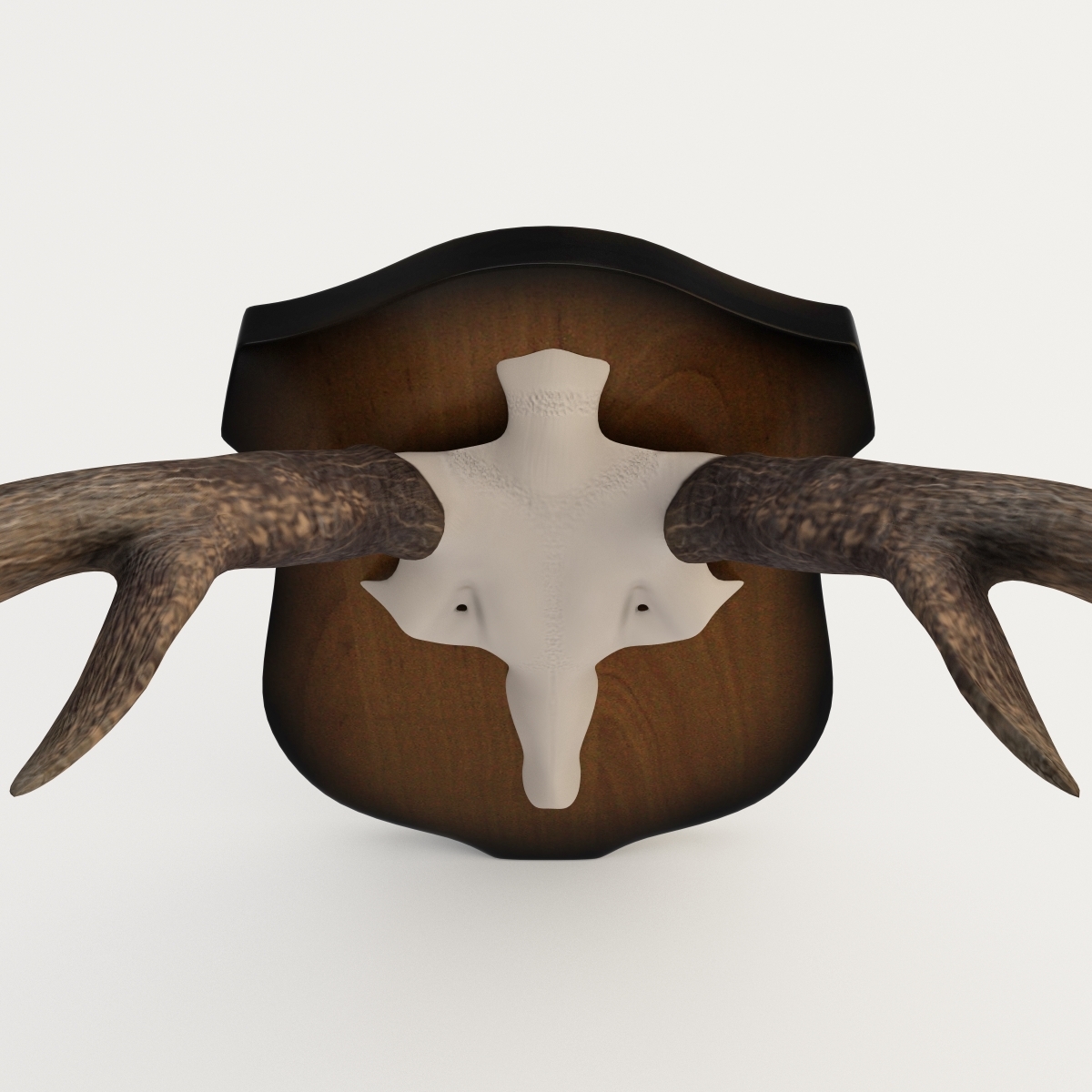 3d model mounted antlers
