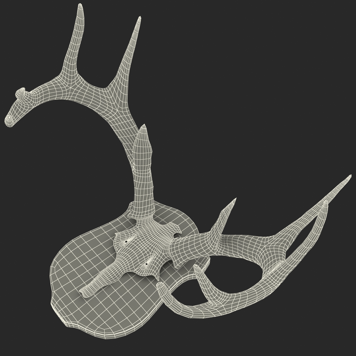 3d model mounted antlers