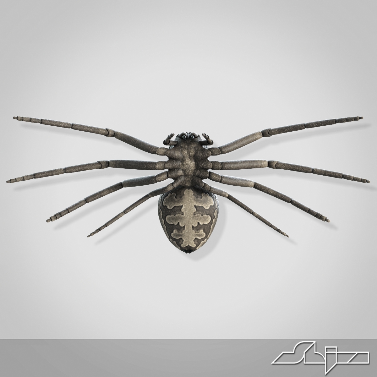 3d model spider 2