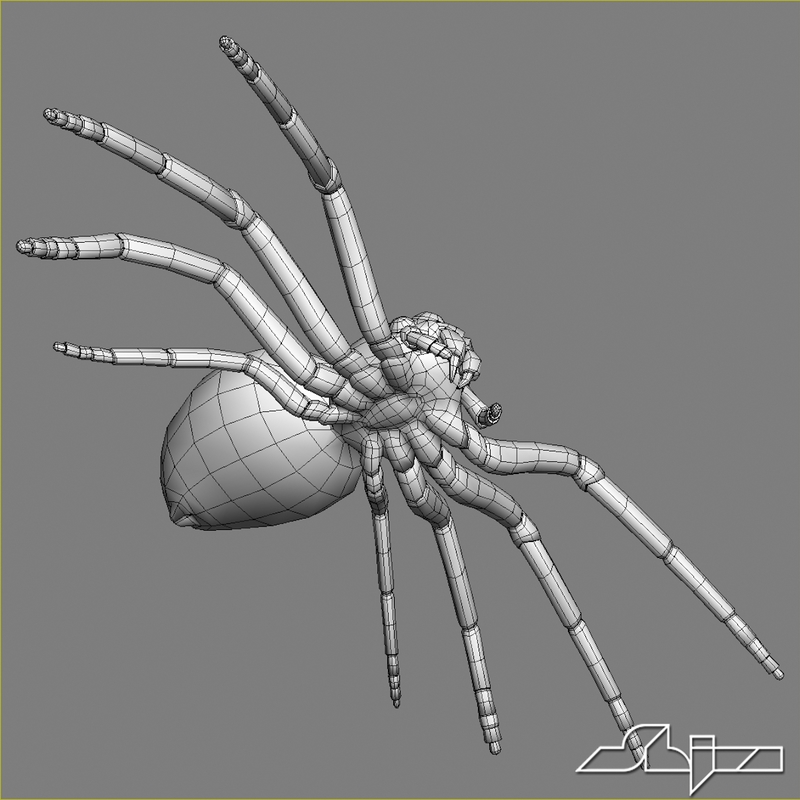 3d model spider 2