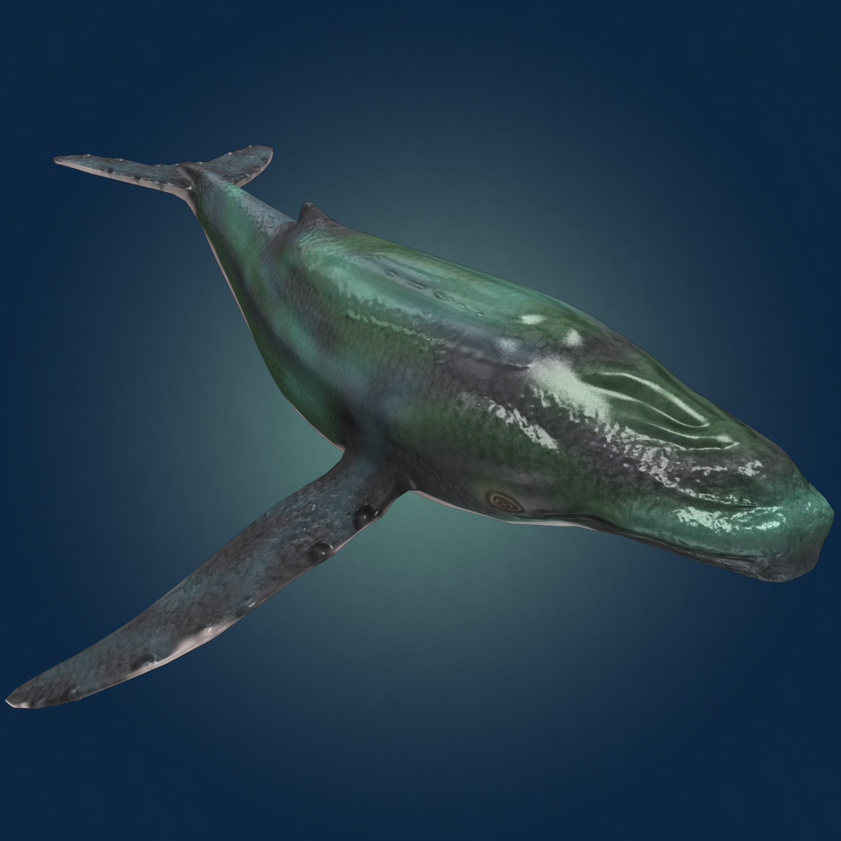 3d max whale animation