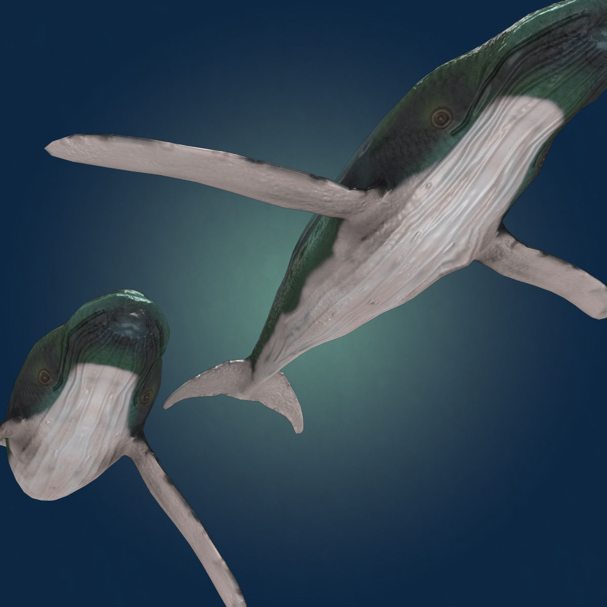 3d max whale animation