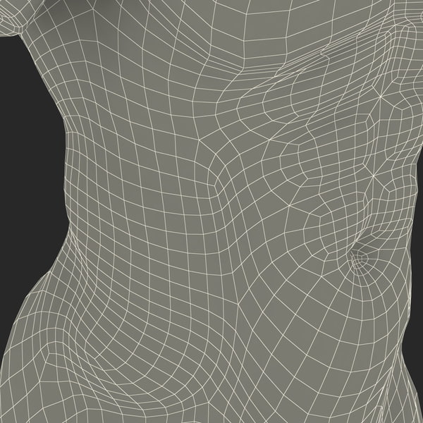 white male muscular torso max