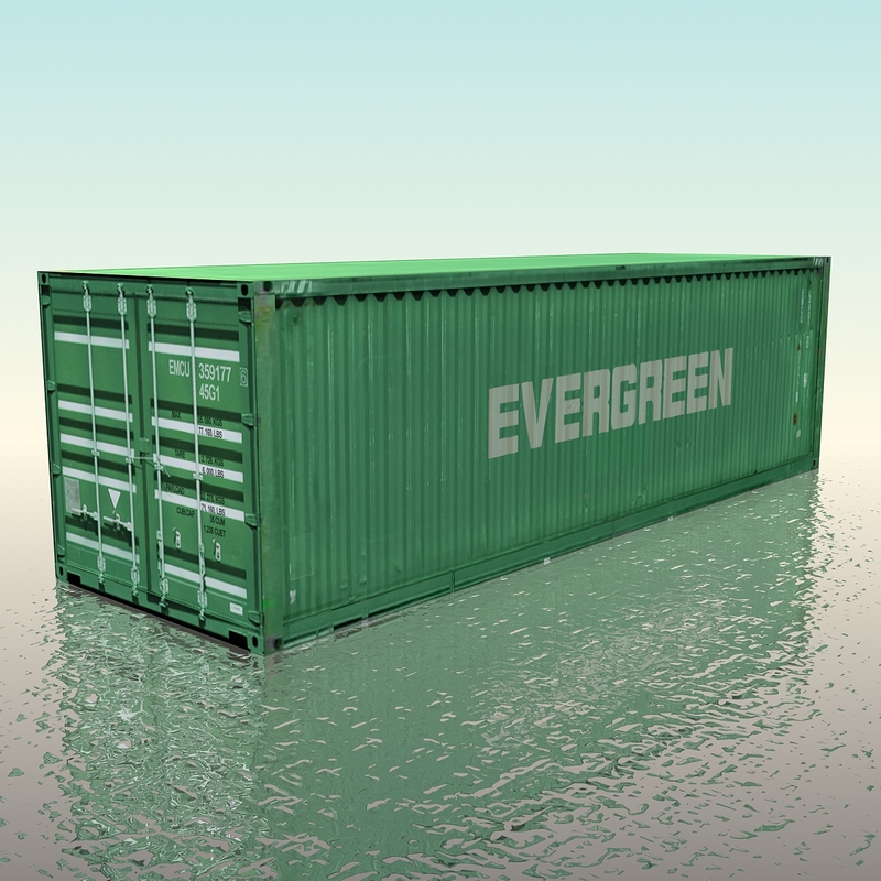 container evergreen