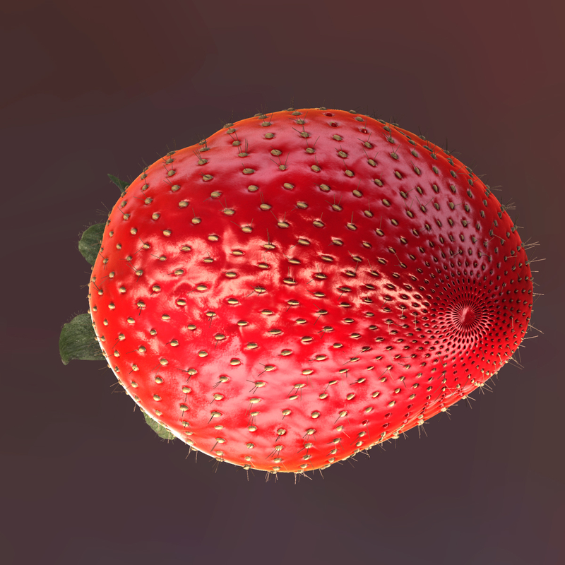 3ds max strawberry fruit leaf