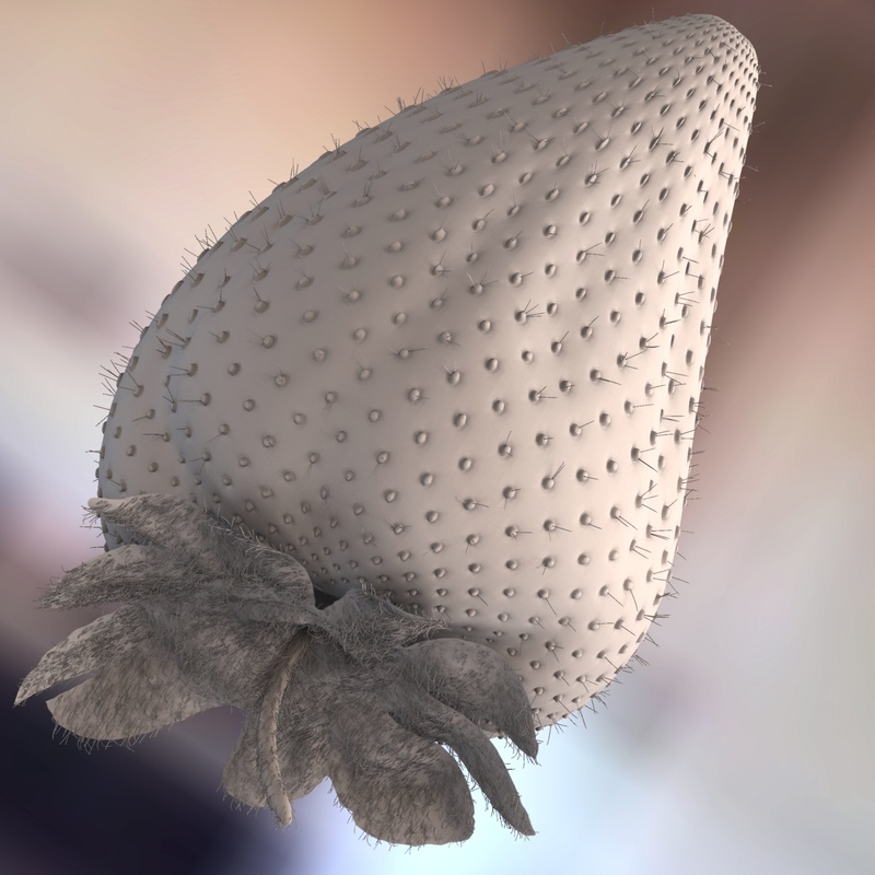 3ds max strawberry fruit leaf