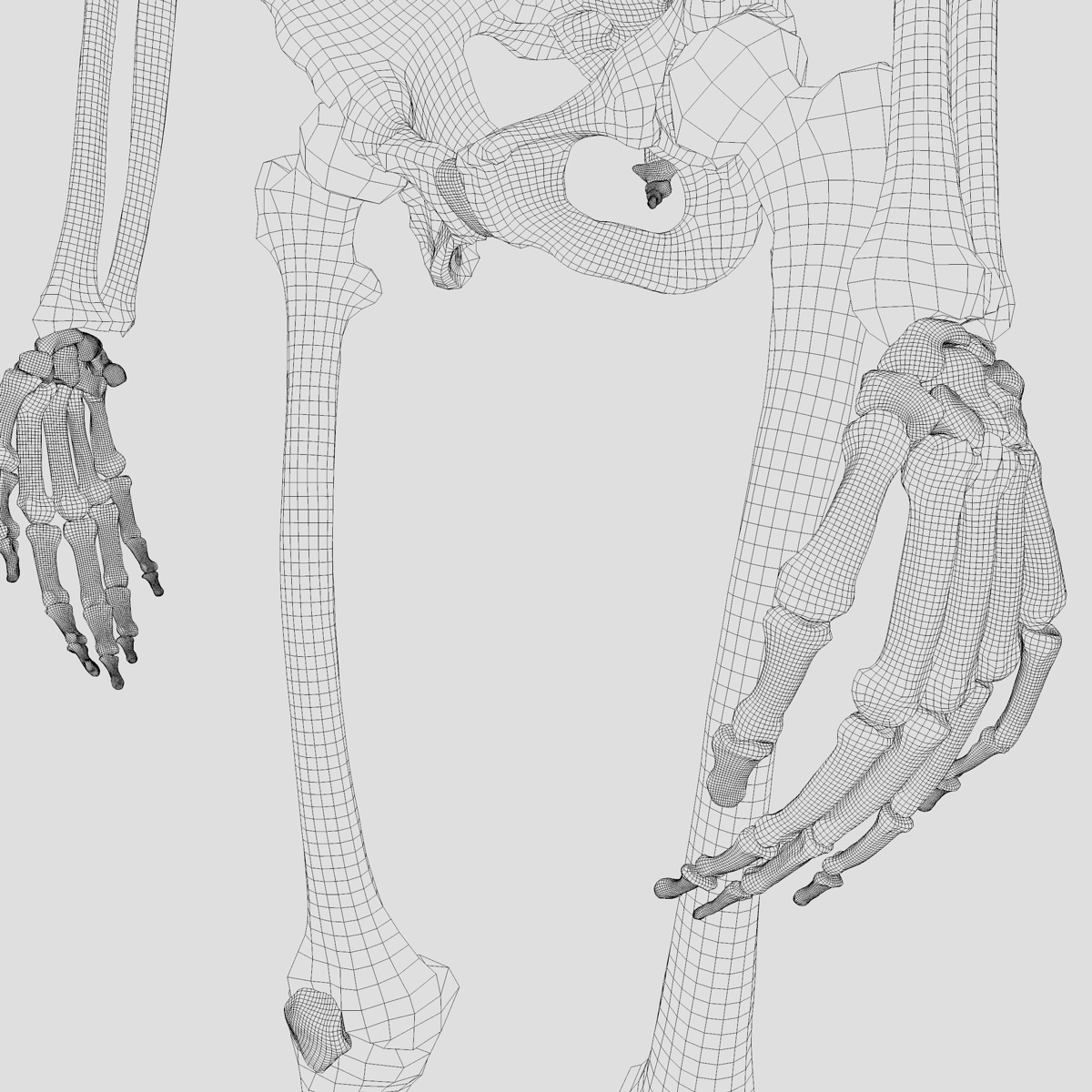 3d accurate human skeleton model