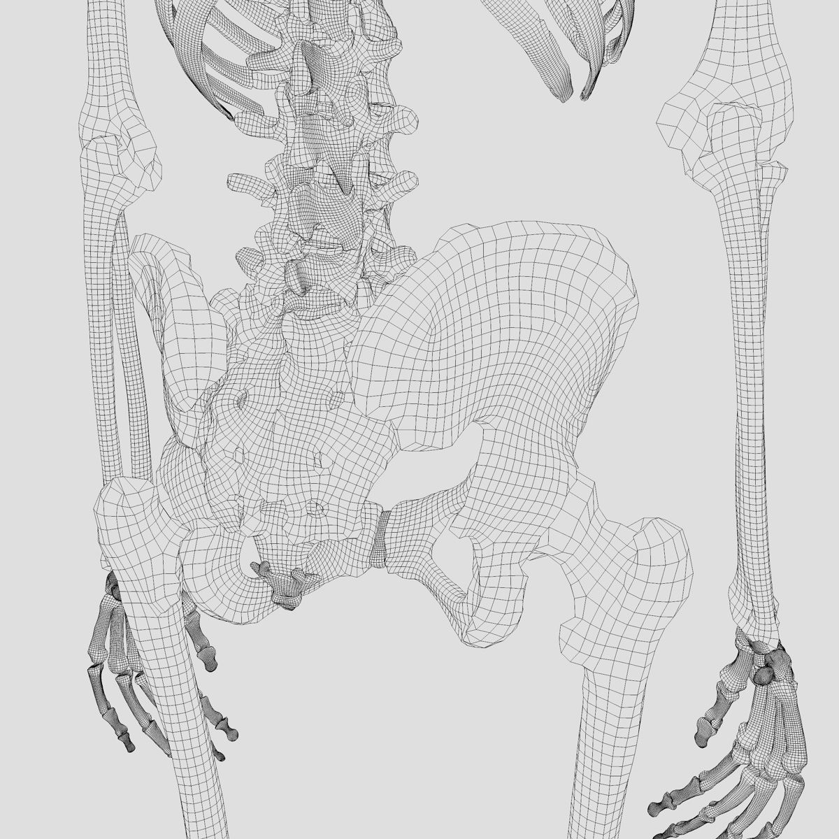 3d accurate human skeleton model