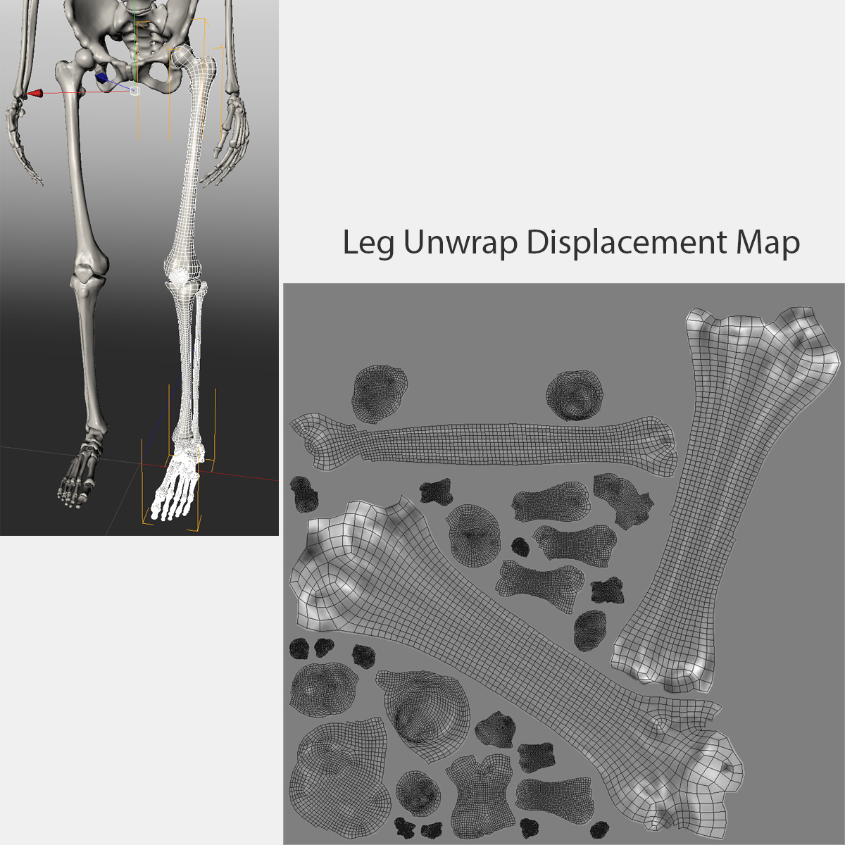 3d accurate human skeleton model