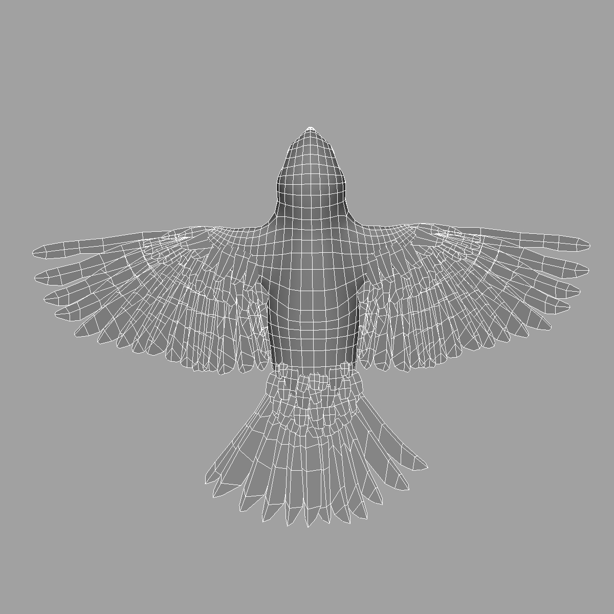 house sparrow passer domesticus 3d obj