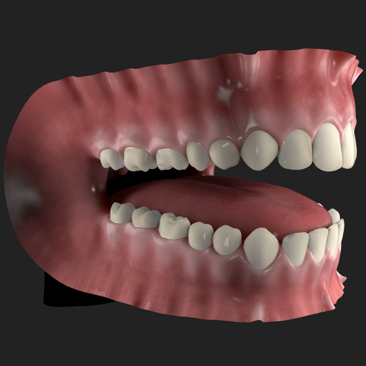 3ds max human mouth