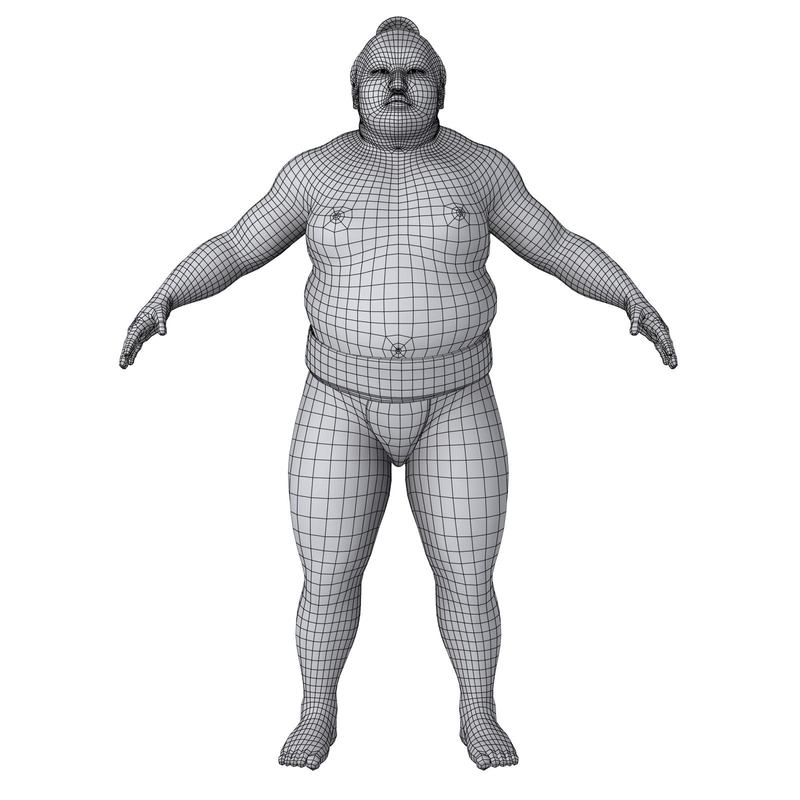 3d realistic sumo model