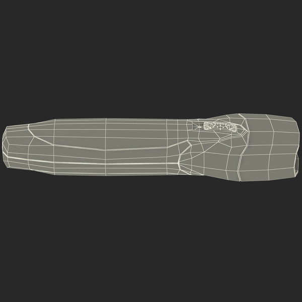 flashlight modelled max