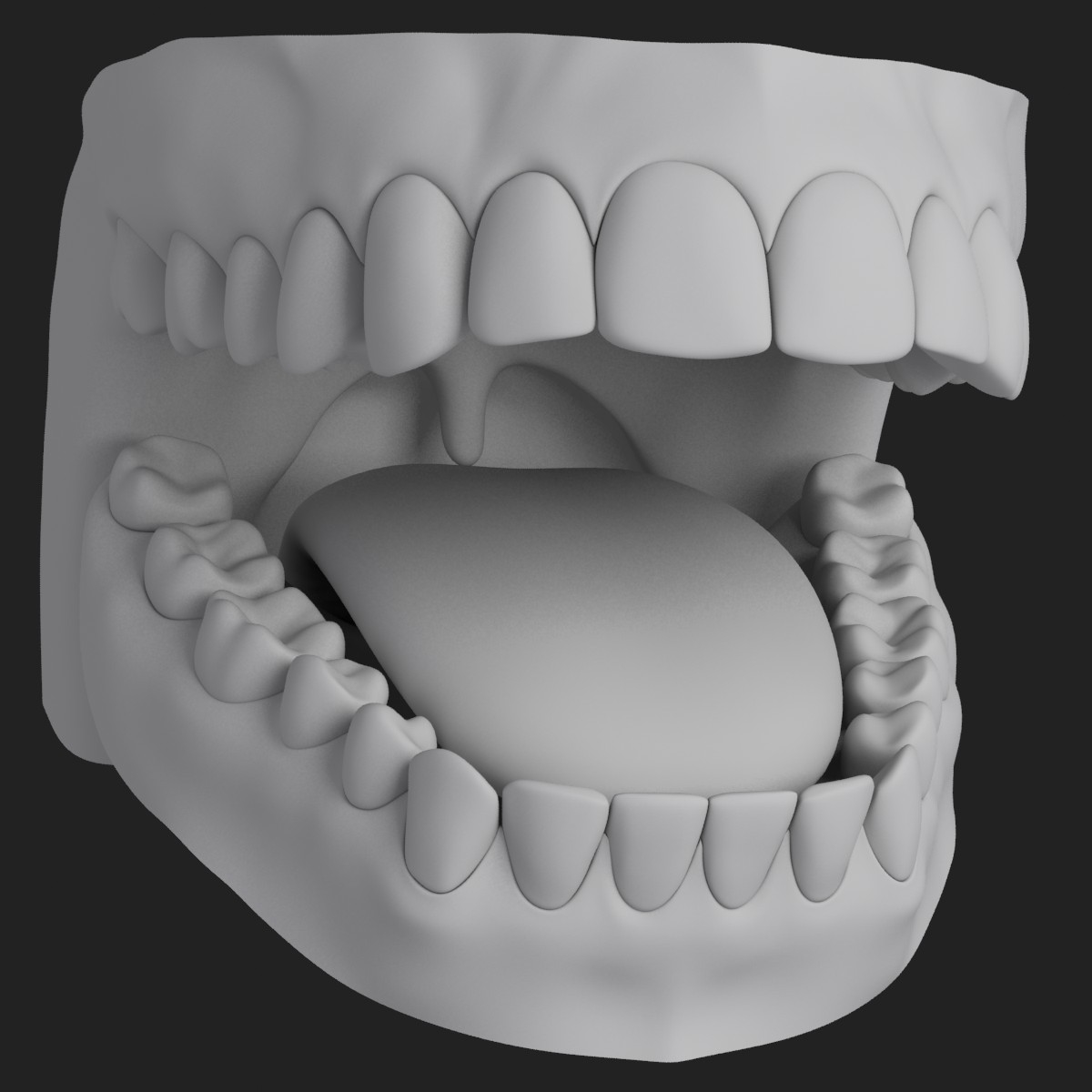3d human teeth model
