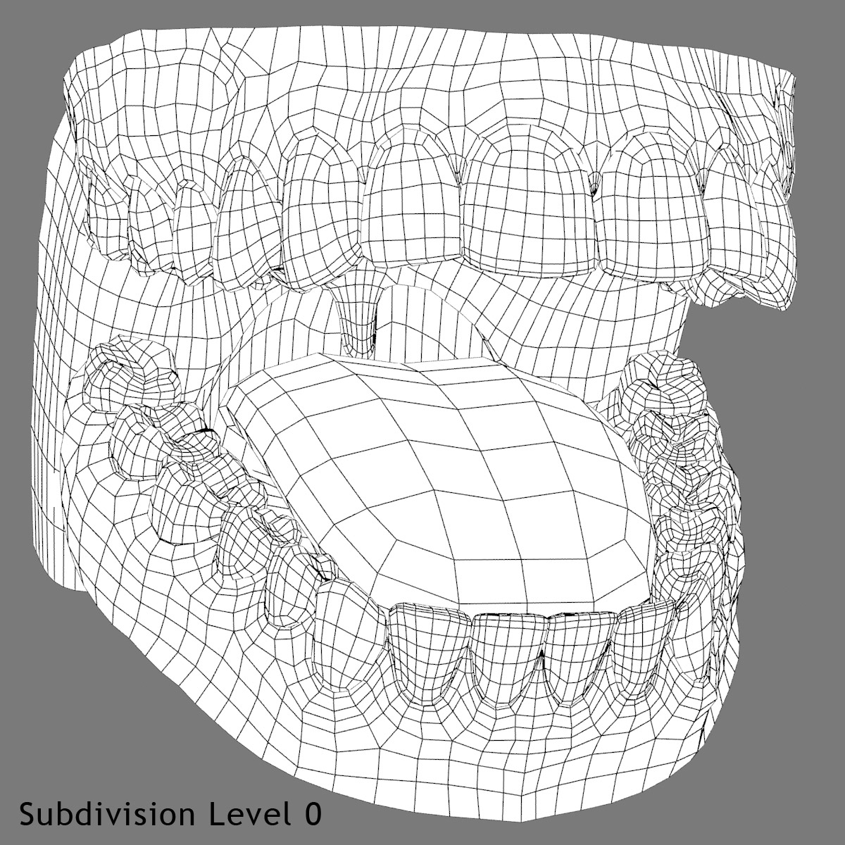 3d human teeth model