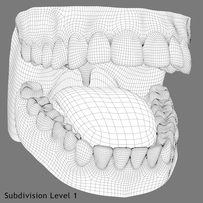 3d human teeth model