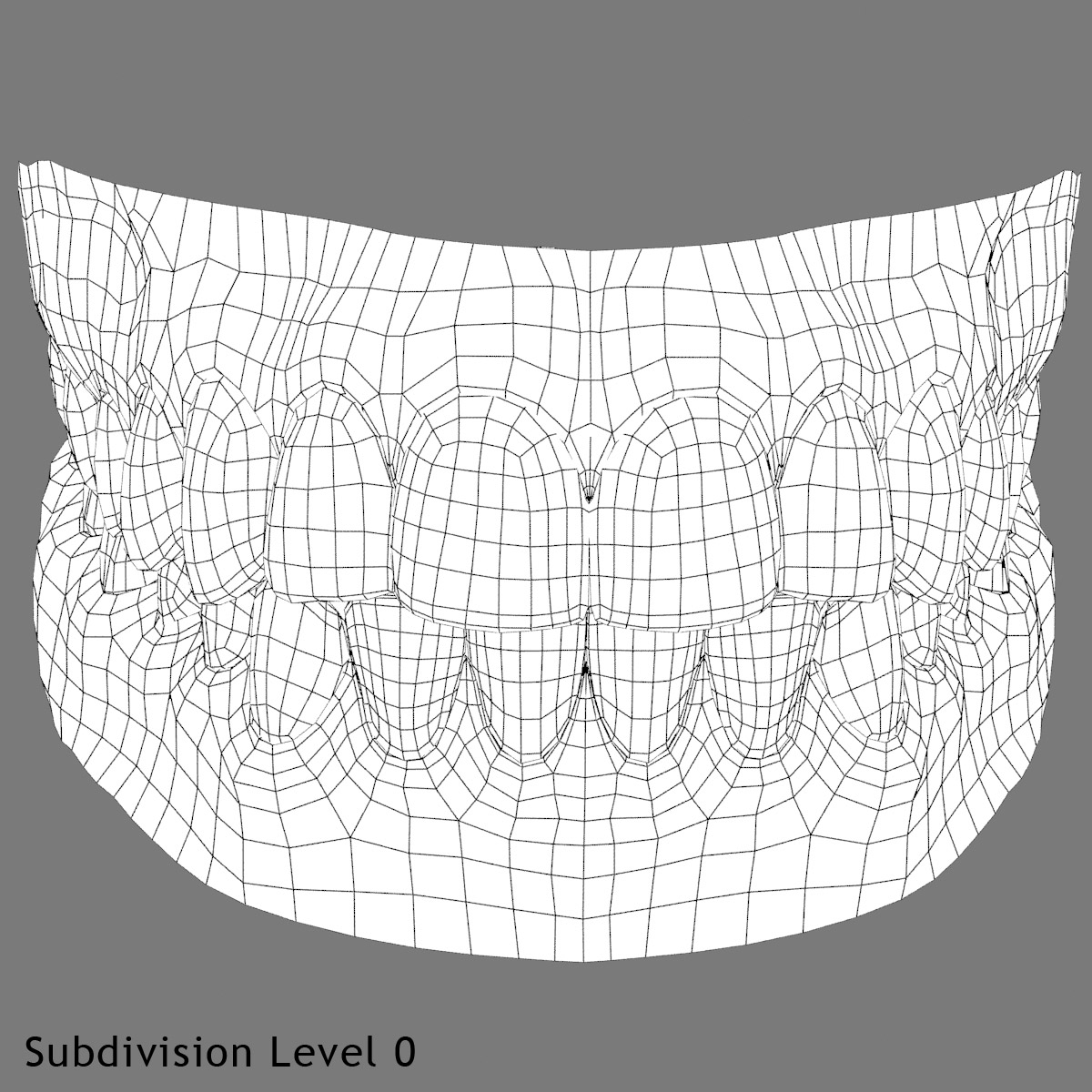 3d human teeth model