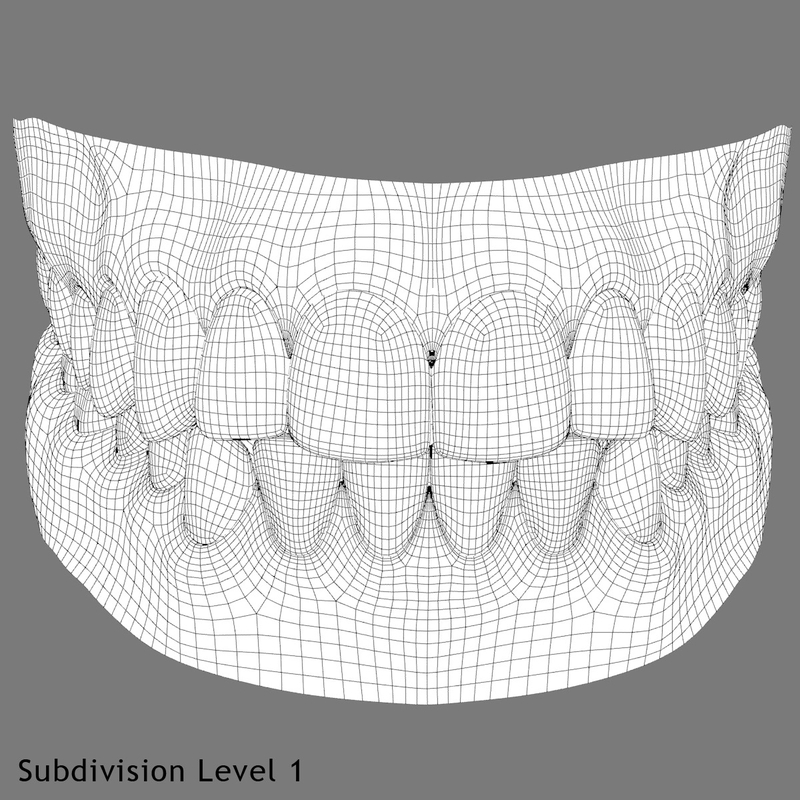 3d human teeth model