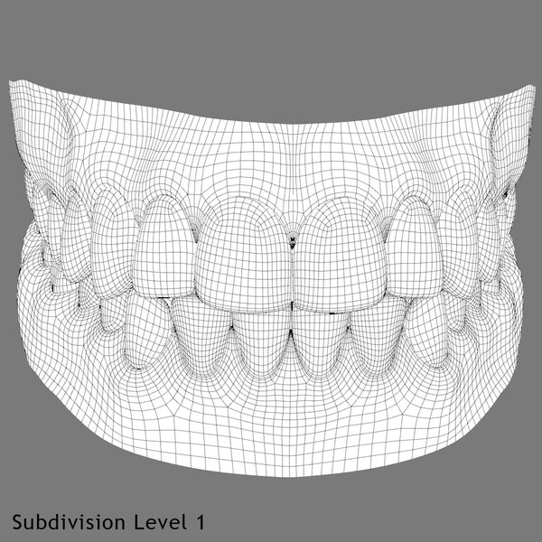 3d human teeth model