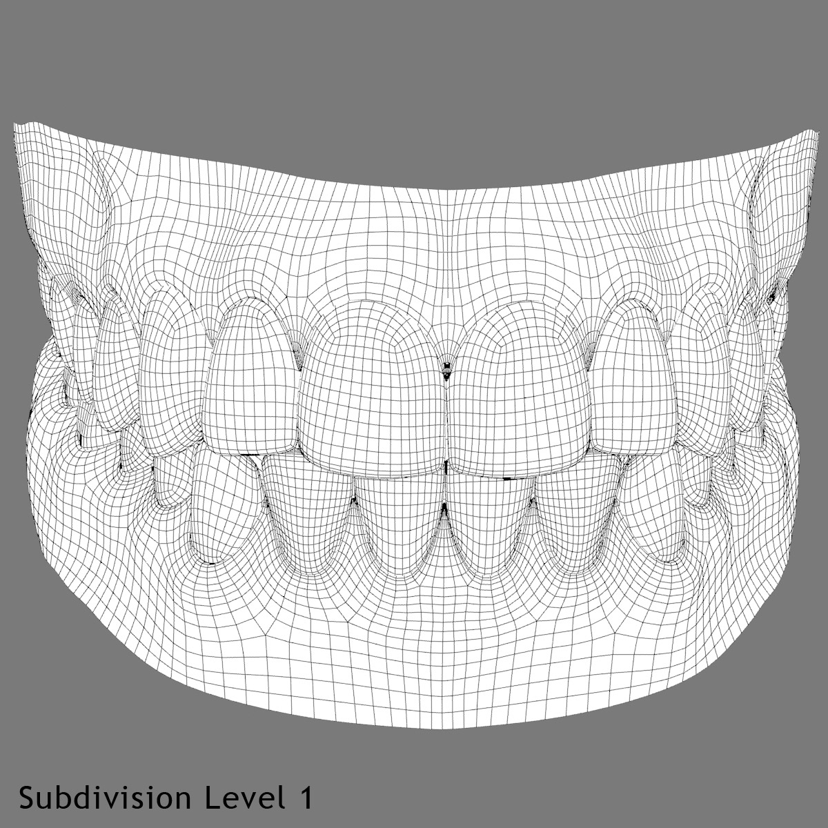 3d human teeth model