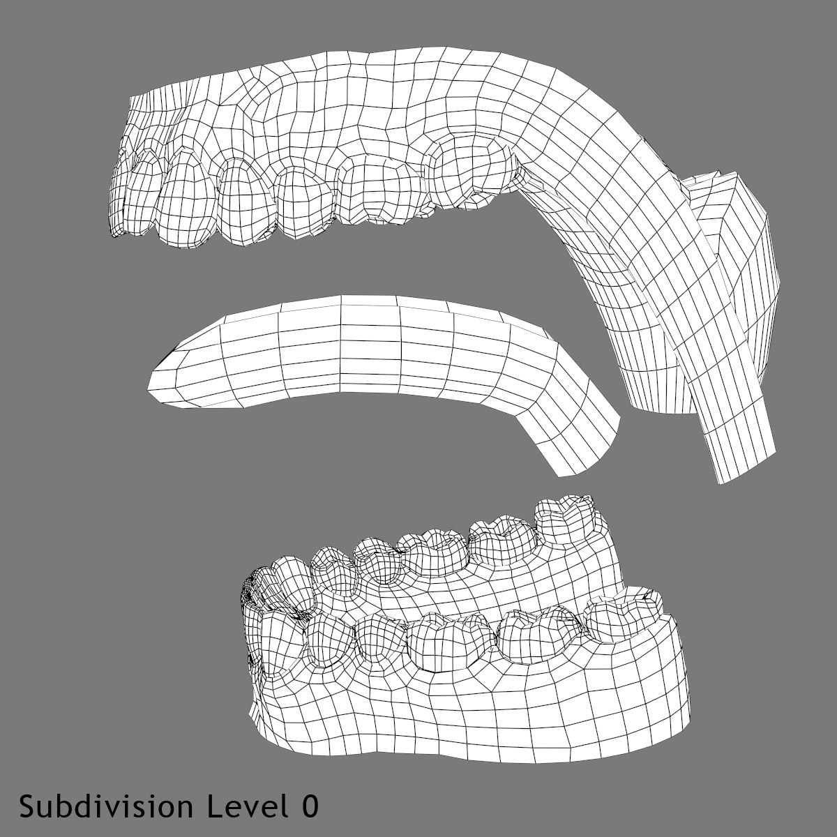 3d human teeth model