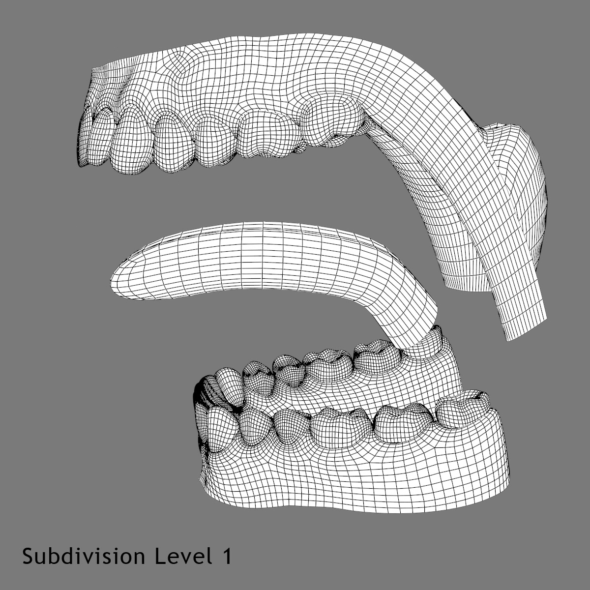 3d human teeth model