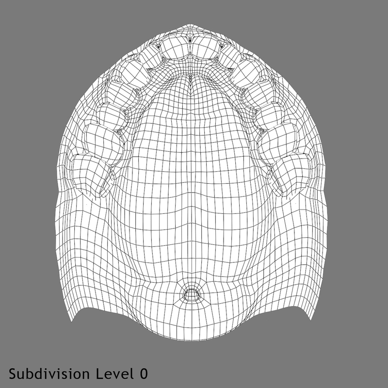 3d human teeth model