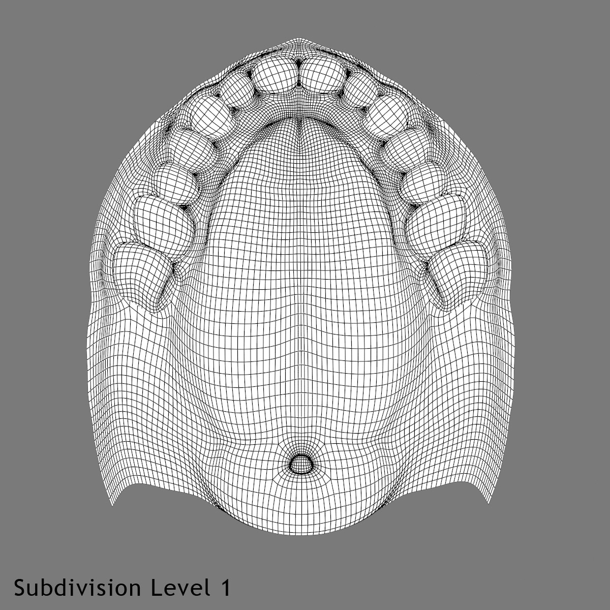 3d human teeth model