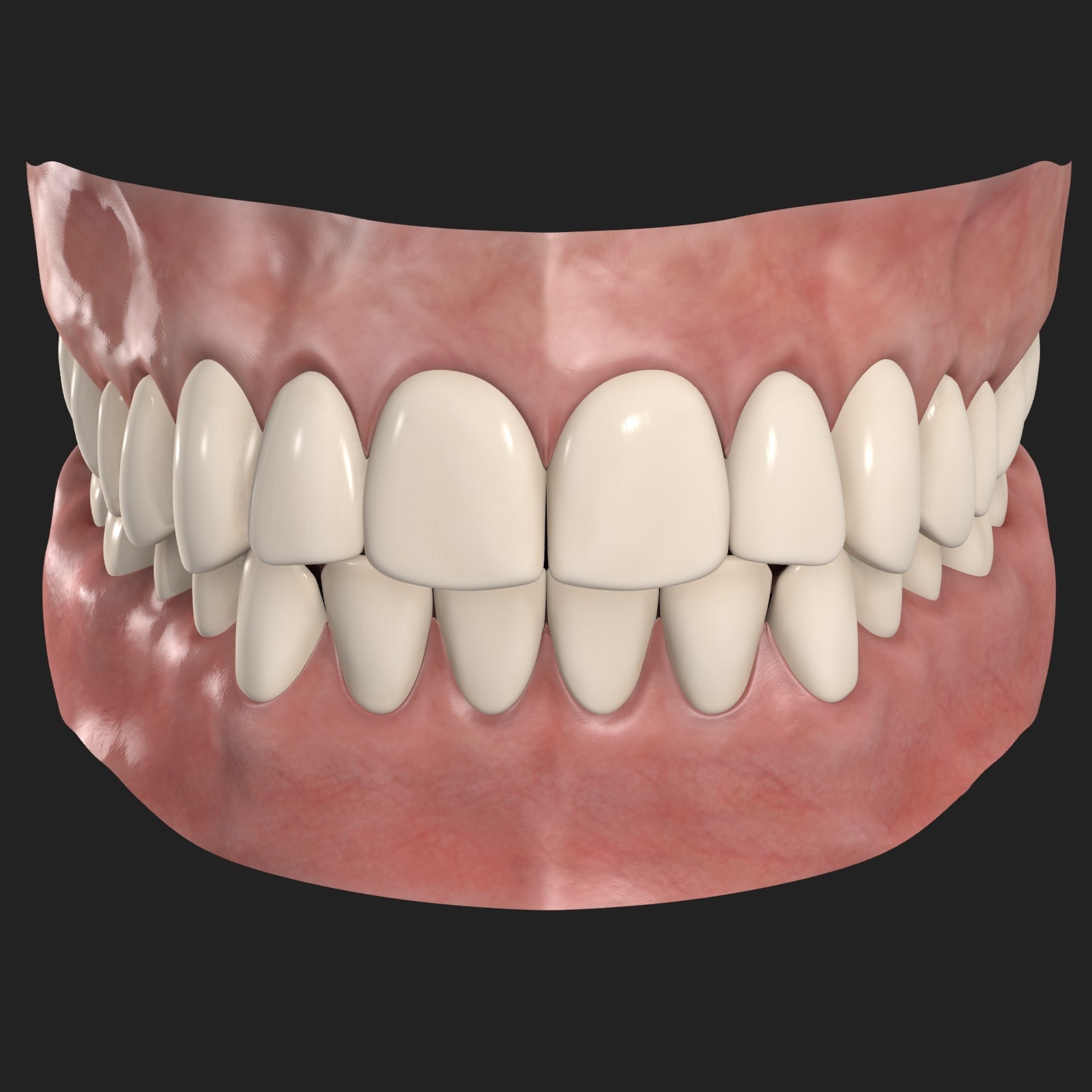 3d human teeth model
