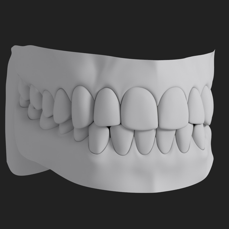 3d human teeth model