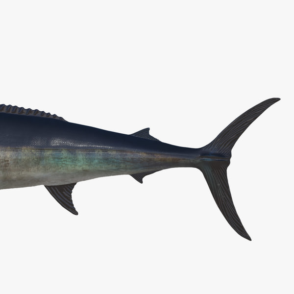 blue marlin obj