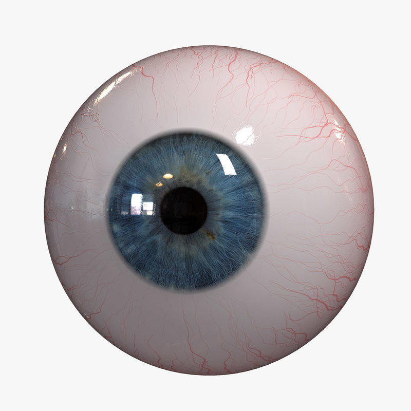 realistic huan eye 3d obj