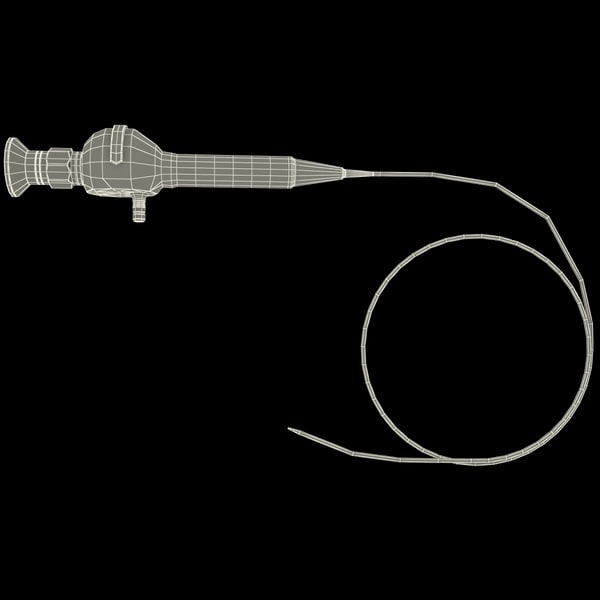 endoscope scope 3d max