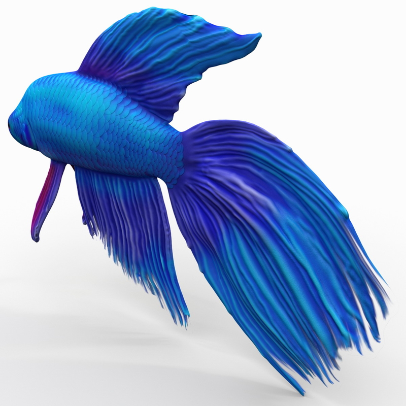 3ds max betta fish