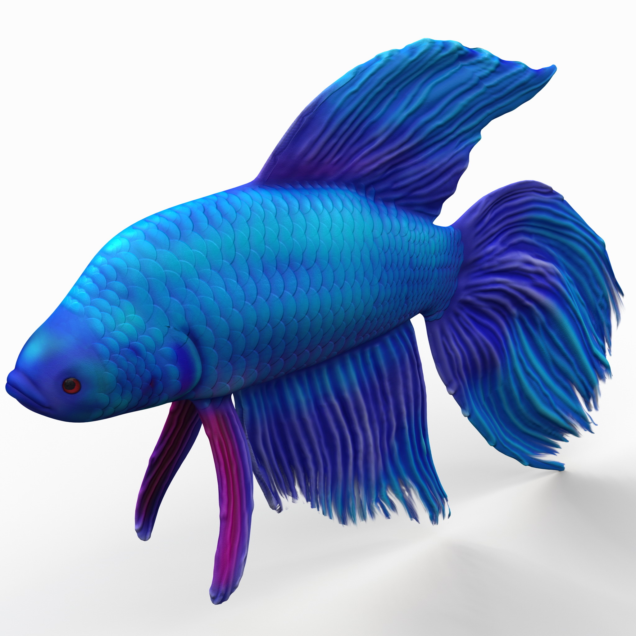 3ds max betta fish